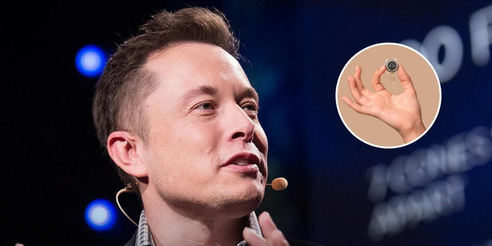 Elon Musk's Neuralink Unveils Human-Mouse Connection Through Brain ...